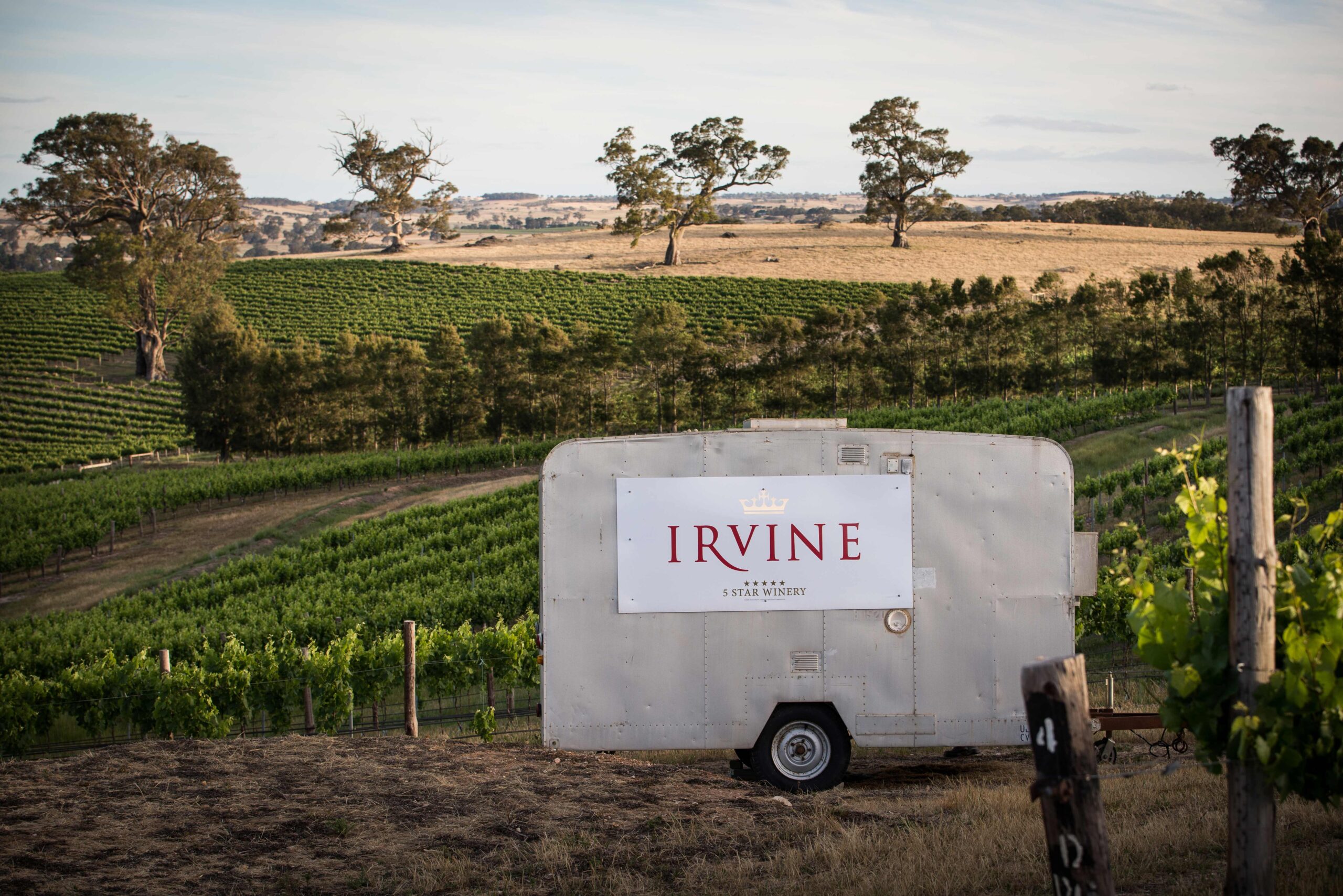 Irvine Wines - Tindal Wine