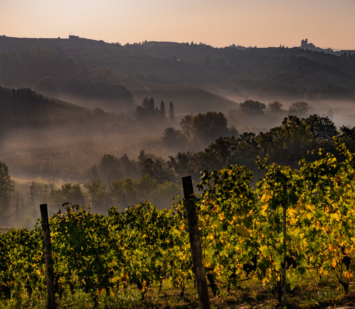 Prunotto - Tindal Wine