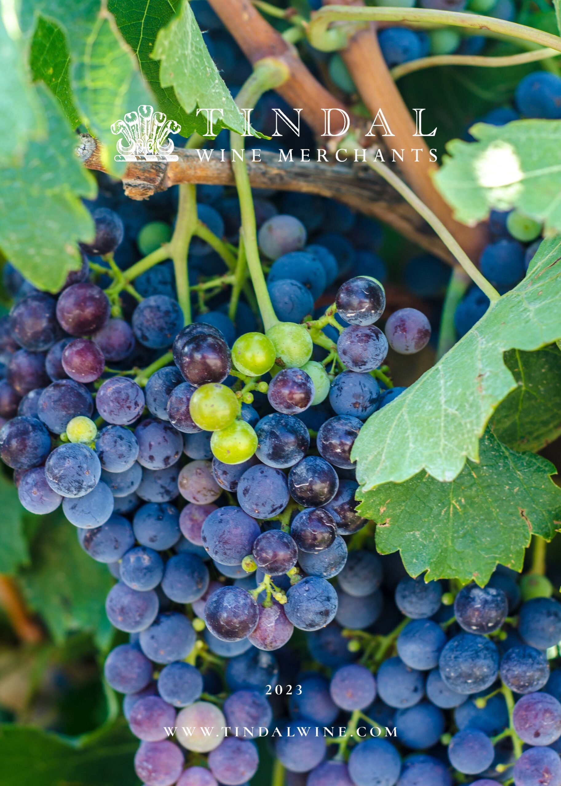 Creative Design - Tindal Wine